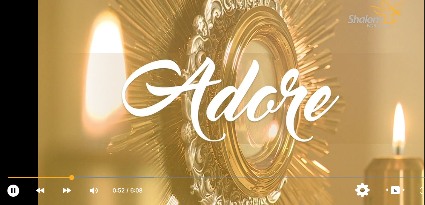 Adoration Testimonies & Videos - Apostolate of Eucharistic Adoration Inc.